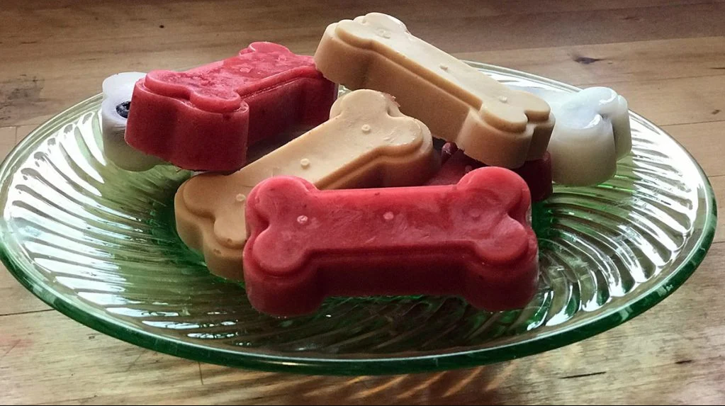 Summer Doggo Treats! – Woof Pack