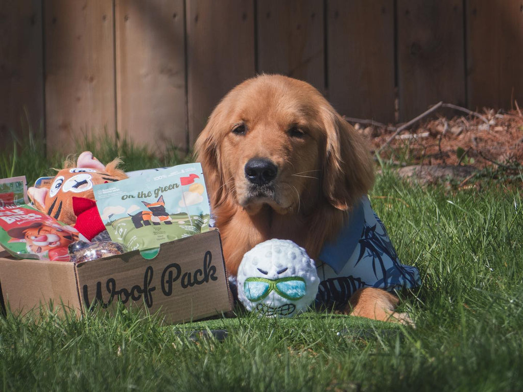 Essential Tips for Raising a Happy and Healthy Puppy – Woof Pack