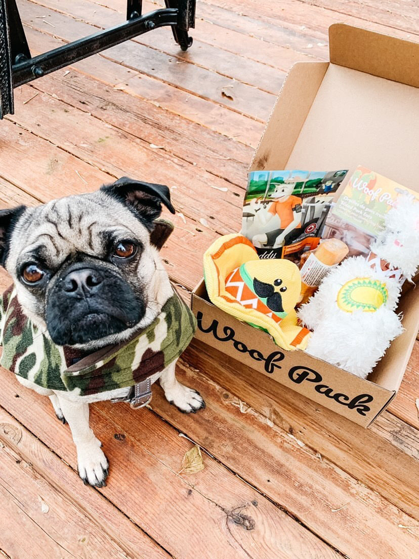 Woof Pack: A monthly box of dog goodies delivered to your door