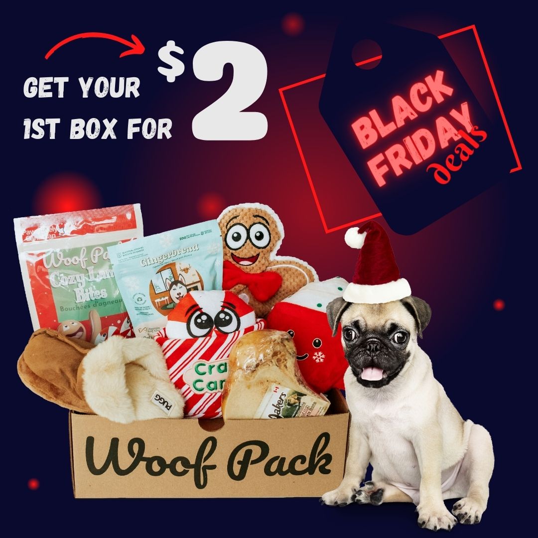 Woof Pack: A monthly box of dog goodies delivered to your door