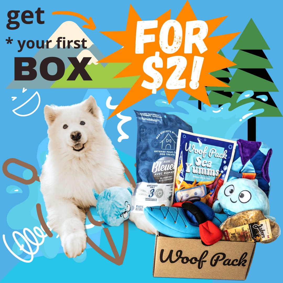 Woof Pack: A monthly box of dog goodies delivered to your door