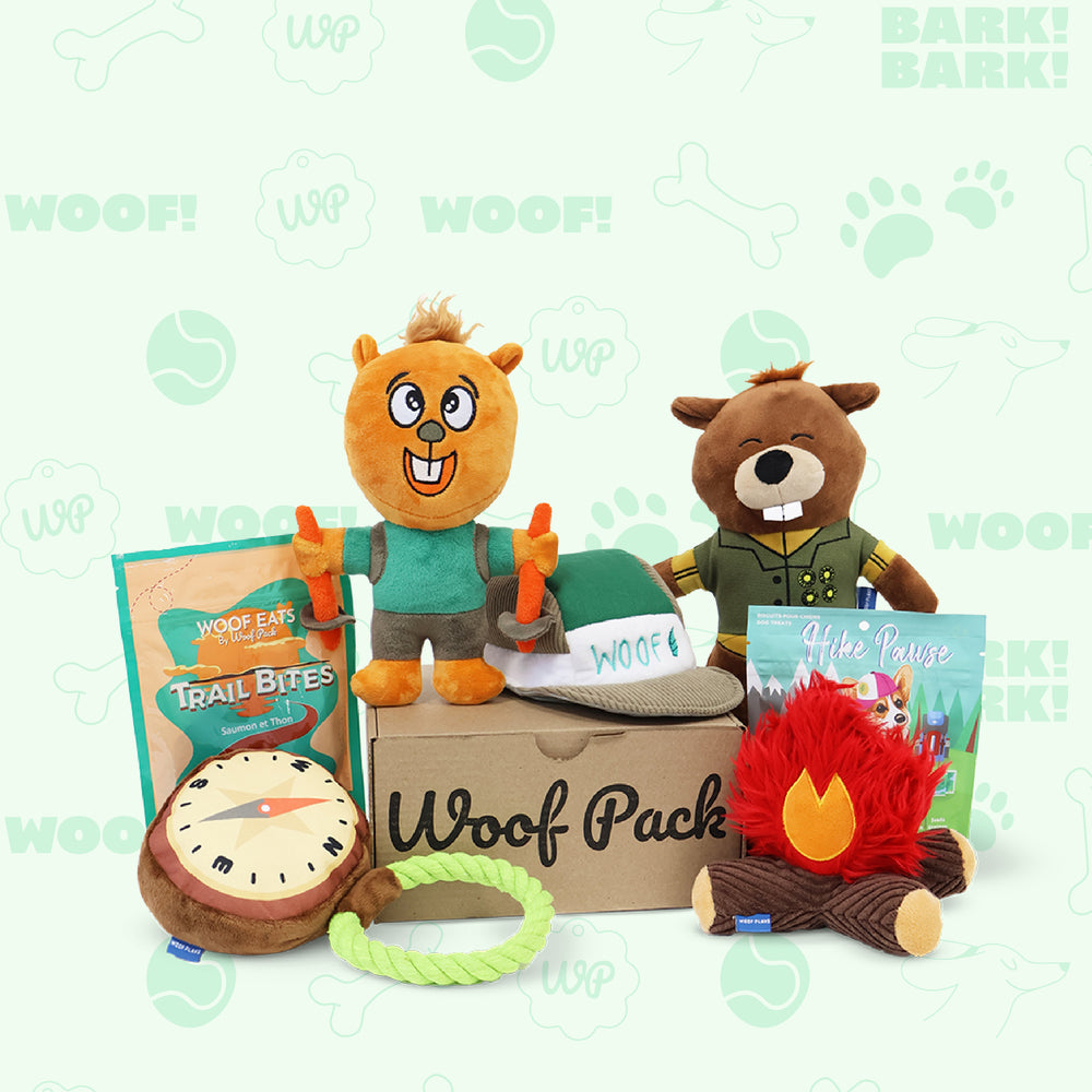 Woof Pack: A monthly box of dog goodies delivered to your door