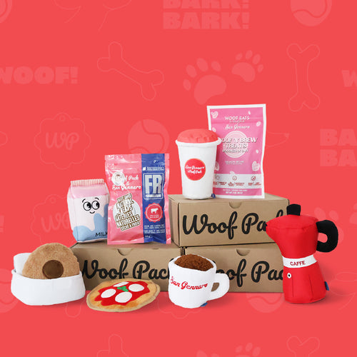 Woof Pack: A monthly box of dog goodies delivered to your door