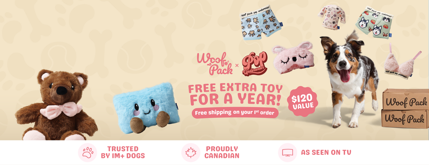 Woof Pack: A monthly box of dog goodies delivered to your door