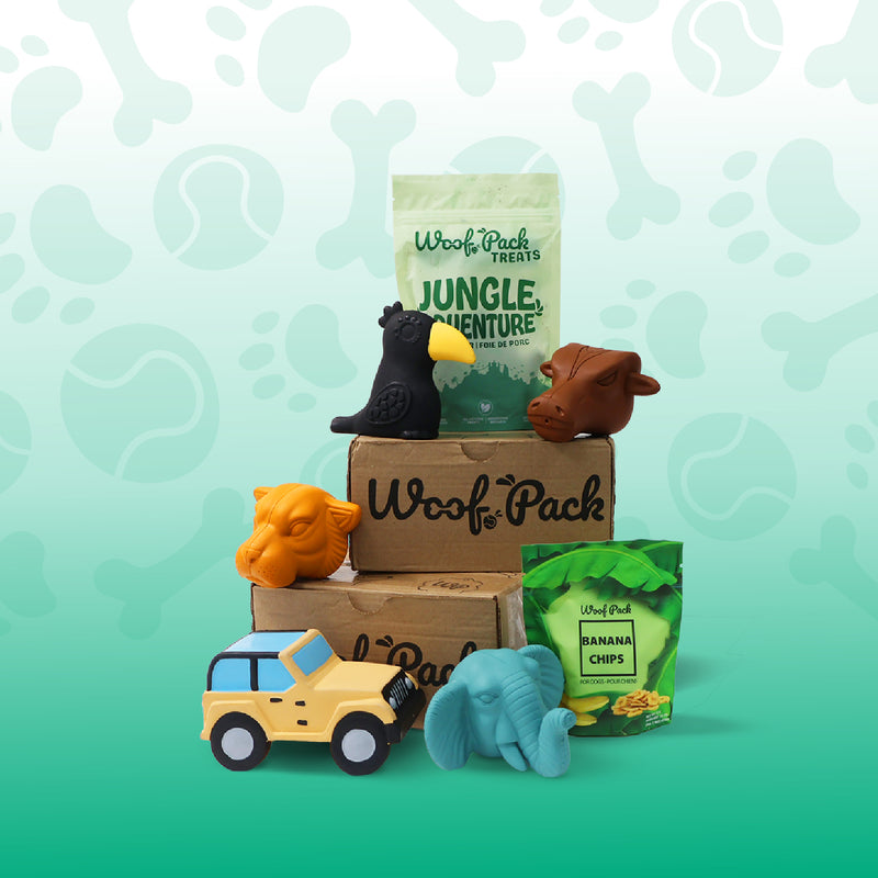 Woof Pack : une boîte mensuelle de friandises pour chiens livrée à ...